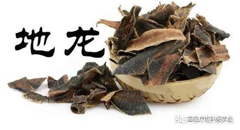 地龙 知乎