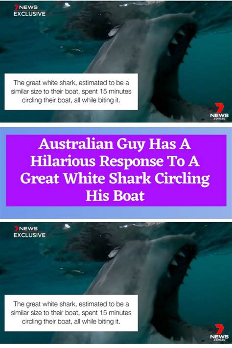 Australian Guy Has A Hilarious Response To A Great White Shark Circling