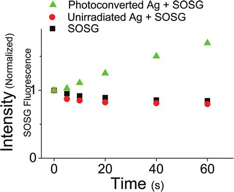 Fluorescence Intensity At Different Time Points Following Irradiation