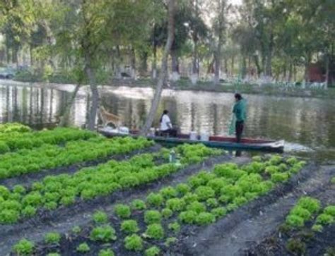 Visioning County Food Production Part Five At Karl North Eco Intelligence