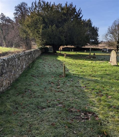 Yew in winter, Walford, Herefordshire © Jaggery :: Geograph Britain and ...