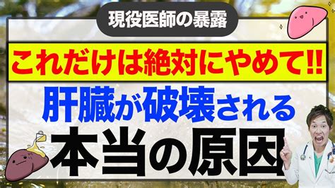 テレビだと医者が話せない脂肪が増えたり肝臓が壊れたりする本当の原因と対処法 脂肪肝 中性脂肪 コレステロール 皮下脂肪 内臓脂肪 食事 B型肝炎 C型肝炎 健康診断 YouTube