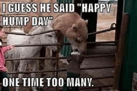 35 Funniest Hump Day Meme Meme Central