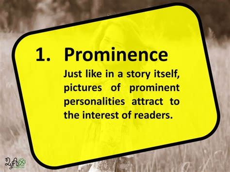 Photojournalism The Basics PPTX