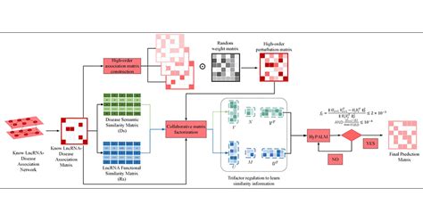 Hptrmf Collaborative Matrix Factorization Based Prediction Method For Lncrna Disease