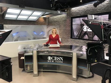 Lisa Rozner Wcbs Nyc R Hot Reporters