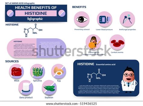 Set Health Benefits Histidine Essential Amino Stock Vector Royalty