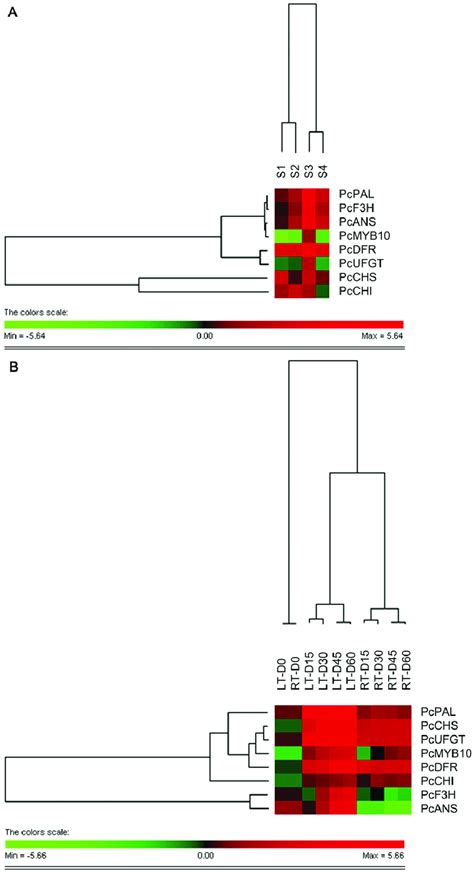 Hierarchical Clustering Analysis Of The Log Of The Transcript Levels