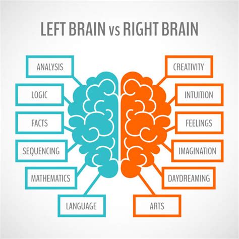 Fact Vs Fiction Infographic Illustrations Royalty Free Vector Graphics