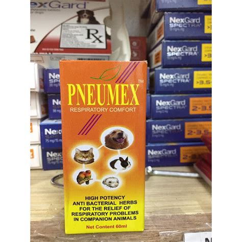 Pneumex Respiratory Comfort 60ml Shopee Philippines