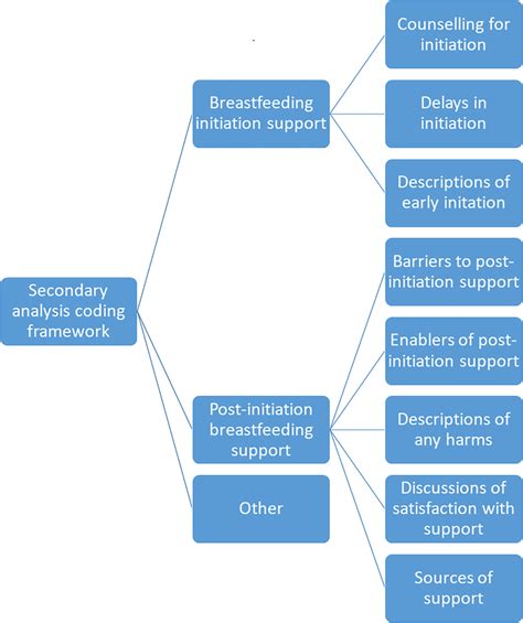 Coding Framework For Secondary Analysis Download Scientific Diagram