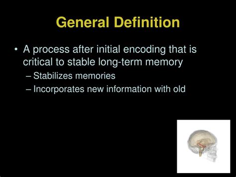 Ppt Memory Consolidation Powerpoint Presentation Free Download Id