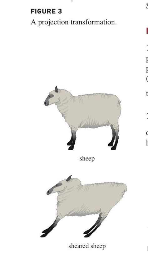 Linear Equation Jokes At Dorothy Hood Blog