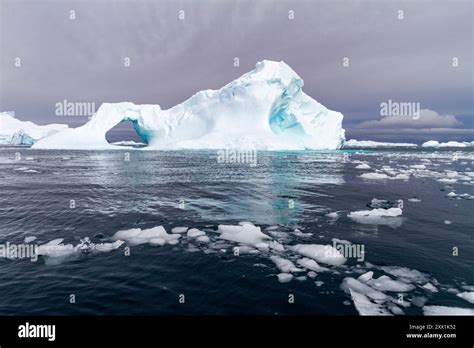 Icebergs Near The Antarctic Peninsula During The Summer Months Antarctica Southern Ocean