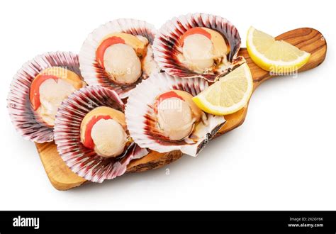 Edible Raw Opened Scallops With Lemon Slice On Wooden Board File