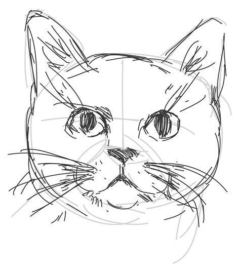 50 Easy Cat Drawing Ideas Step By Step HARUNMUDAK