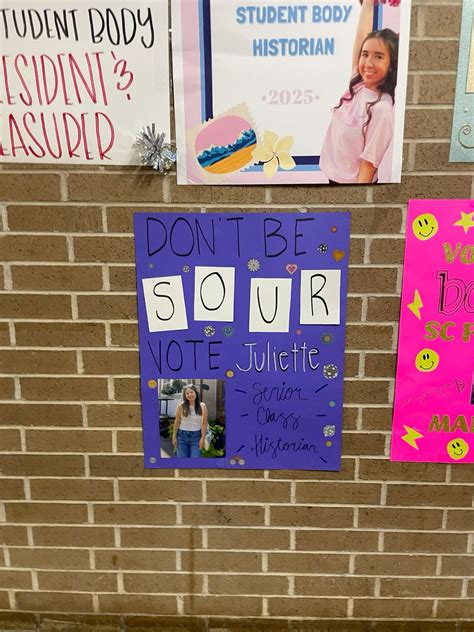 Student Council Campaign Poster Student Council Campaign Posters
