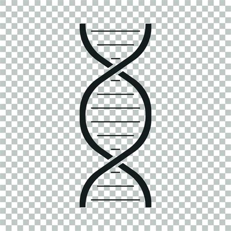 Dna Vector Icon Medecine Molecule Flat Illustration 25919820 Vector