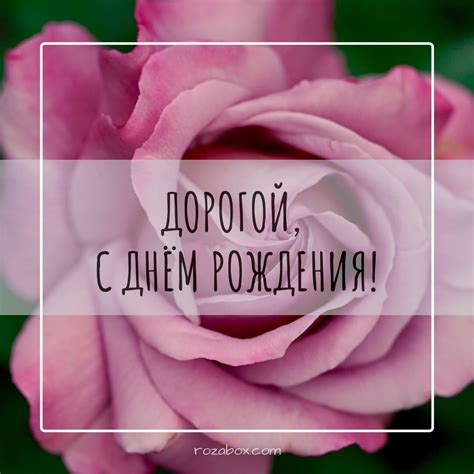 Открытка мужу на день рождения - RozaBox.com