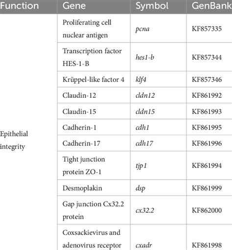 Pcr Array Layout For Gene Expression Profile Of The Intestine Of Download Scientific Diagram