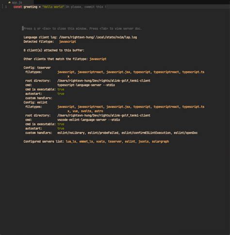 Neovim Lsp Rneovim