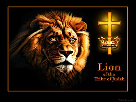 Lion Of Judah Wallpaper Wallpapersafari