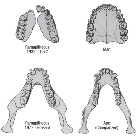 Science Disproves Evolution Christian Chat Rooms And Forums