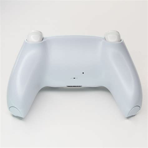 Sakura Cherry Blossom Ps5 Controller Killscreen
