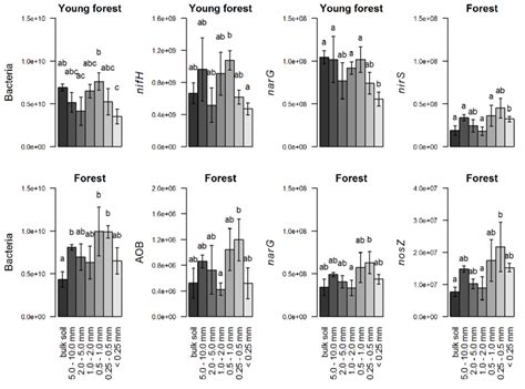 Variation In Gene Abundance Between Bulk Soil And Six Soil Aggregates Download Scientific
