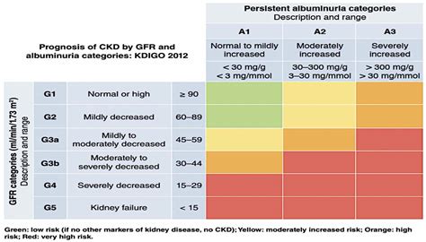 Cells Free Full Text Slowing The Progression Of Diabetic Kidney Disease
