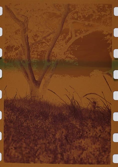 Using Gimp For Negatives How Can I Fix The Blue Dots Rgimp