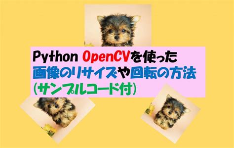Python Opencvを使った画像のリサイズや回転の方法サンプルコード付 みやしんのプログラミングスキル通信