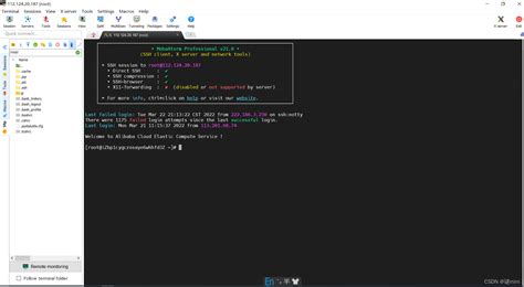 Mobaxterm 软件的入门使用hterm使用 Csdn博客