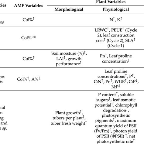Summary Of Drought Stress Effects On Morphological Physiological And