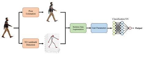 Diagnosis Of Cerebellar Ataxia Based On Gait Analysis Using Human Pose Estimation A Deep