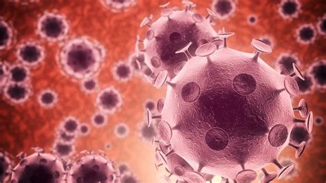 Understanding The Challenges Of Immunotoxicity In Pharmaceutical