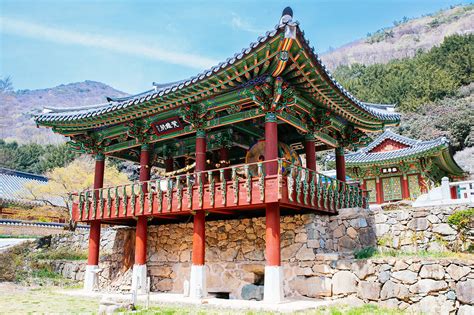 나주 불회사 제4회 동백꽃 산사문화제