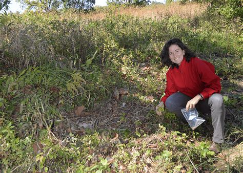 Early Plant Domestication How Humans Co Evolved With Ancient Crops