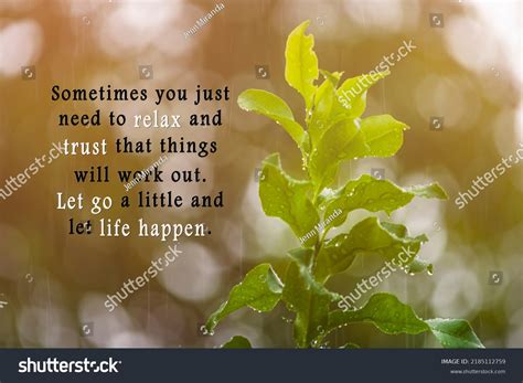 Happy Rainy Day Quotes