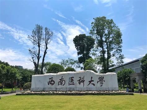 西南医科大学 西南医科大学城北校区 遵义医科大学 大山谷图库