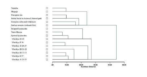 dendrogram using euclidian distance and weighted pair group with