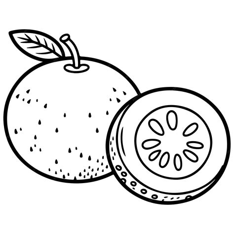 아이들을 위한 손으로 그린 과일 색칠 페이지 일러스트레이션 과일 색채 책 프리미엄 벡터