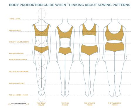 Learn More About Your Body Proportions Artofit