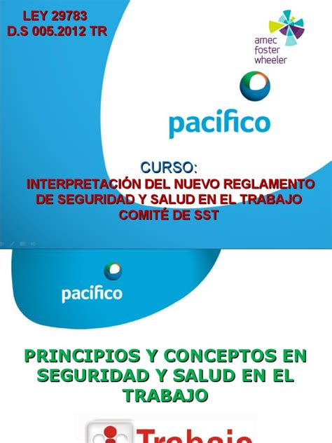 Funciones Y Responsabilidades Del Comite De Sst Pdf