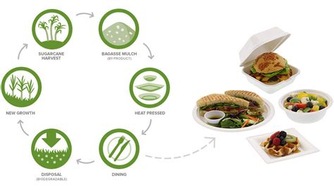 How Sugarcane Products Are Made Cibowares