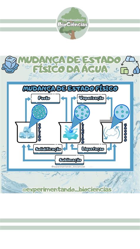 31 Mudança De Estado Físico Experimentando Biociências