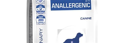 Dieta a alergia pokarmowa i atopowe zapalenie skóry u psa
