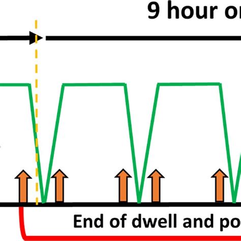 Study Design And Sampling Schema Download Scientific Diagram