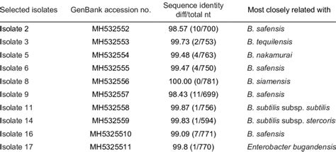 Genbank Accession Number Sequence Identity And Most Closet Neighbours Download Scientific