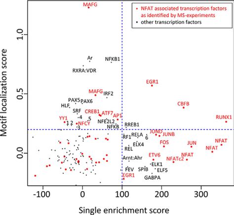 Identification Of Novel Nuclear Factor Of Activated T Cell Nfat Associated Proteins In T Cells